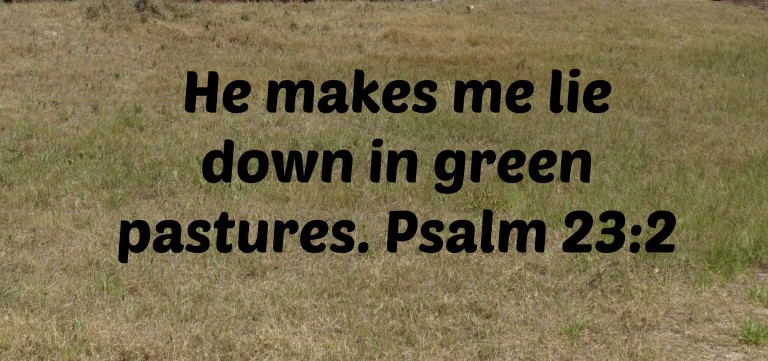 Green Pastures | Graceful Gaines